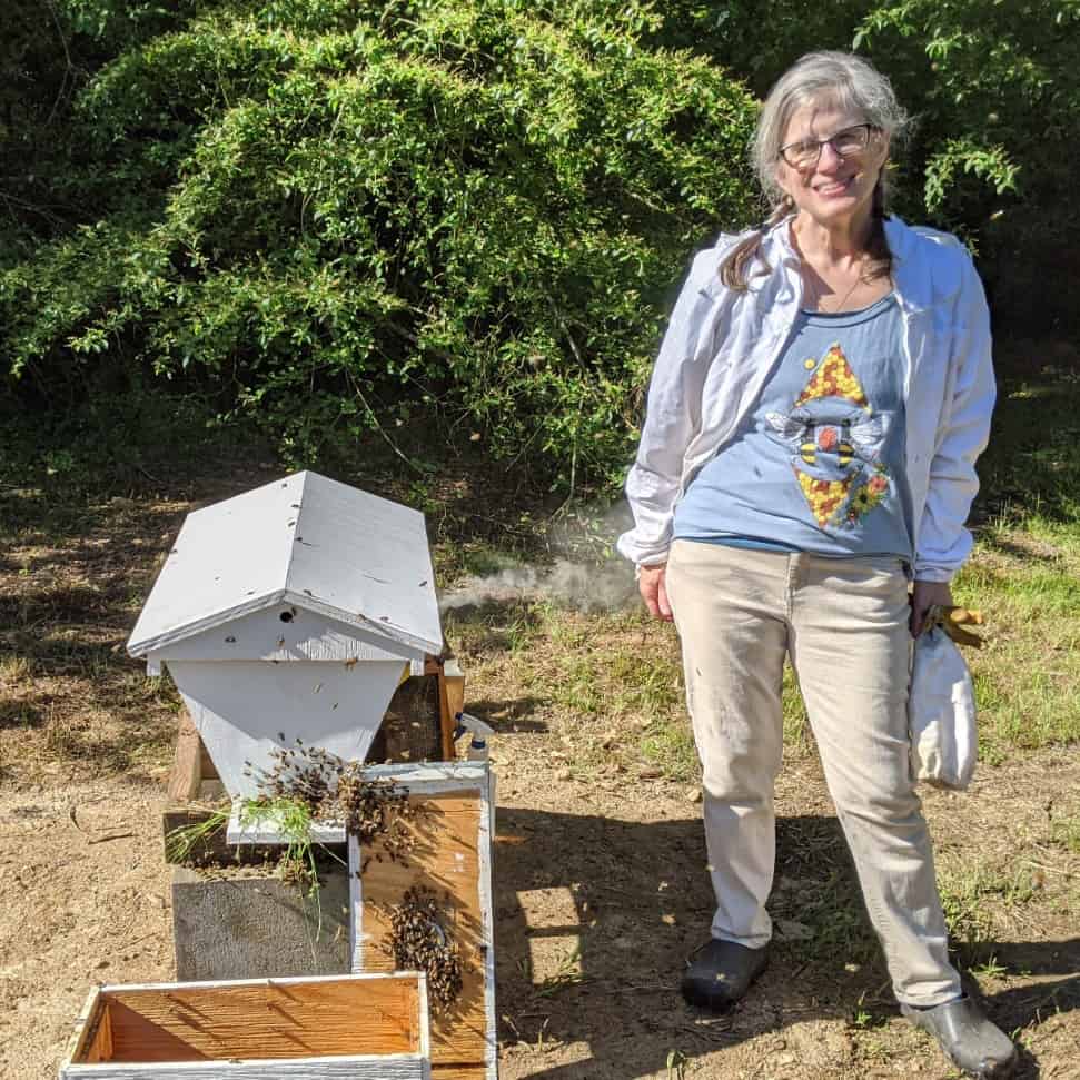 The Secret Life of Library Bees – Central Arkansas Library System